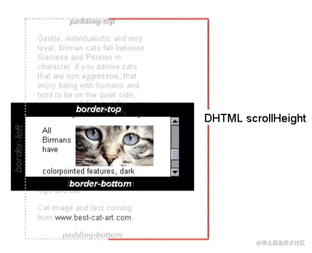 奇怪的 DOM API | LiuKairui's Blog